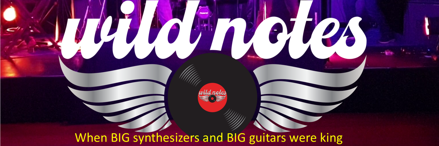 Book Wild Notes Band - Cover Band, Melbourne