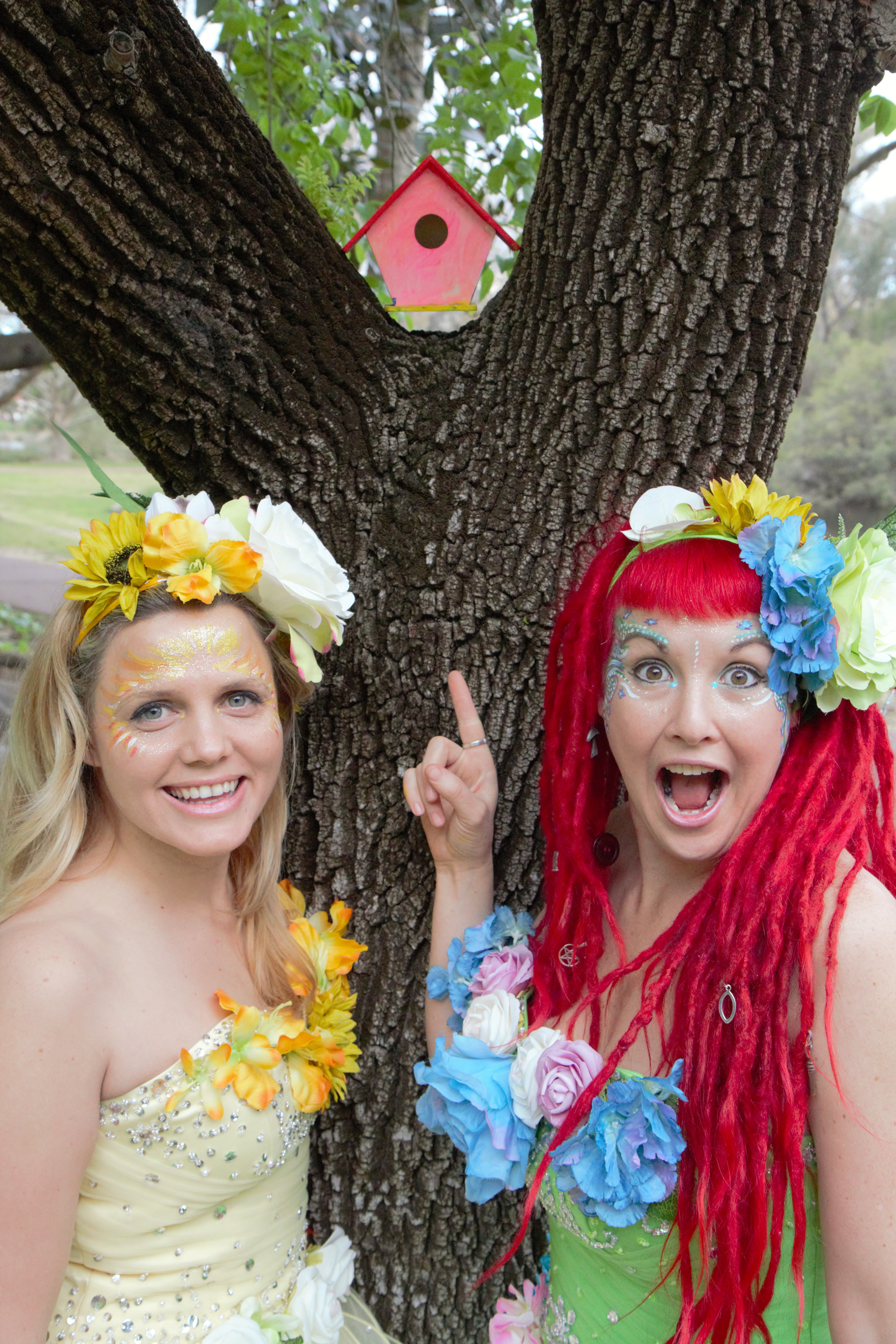 Book Eco Faeries - Children's Entertainer, Perth