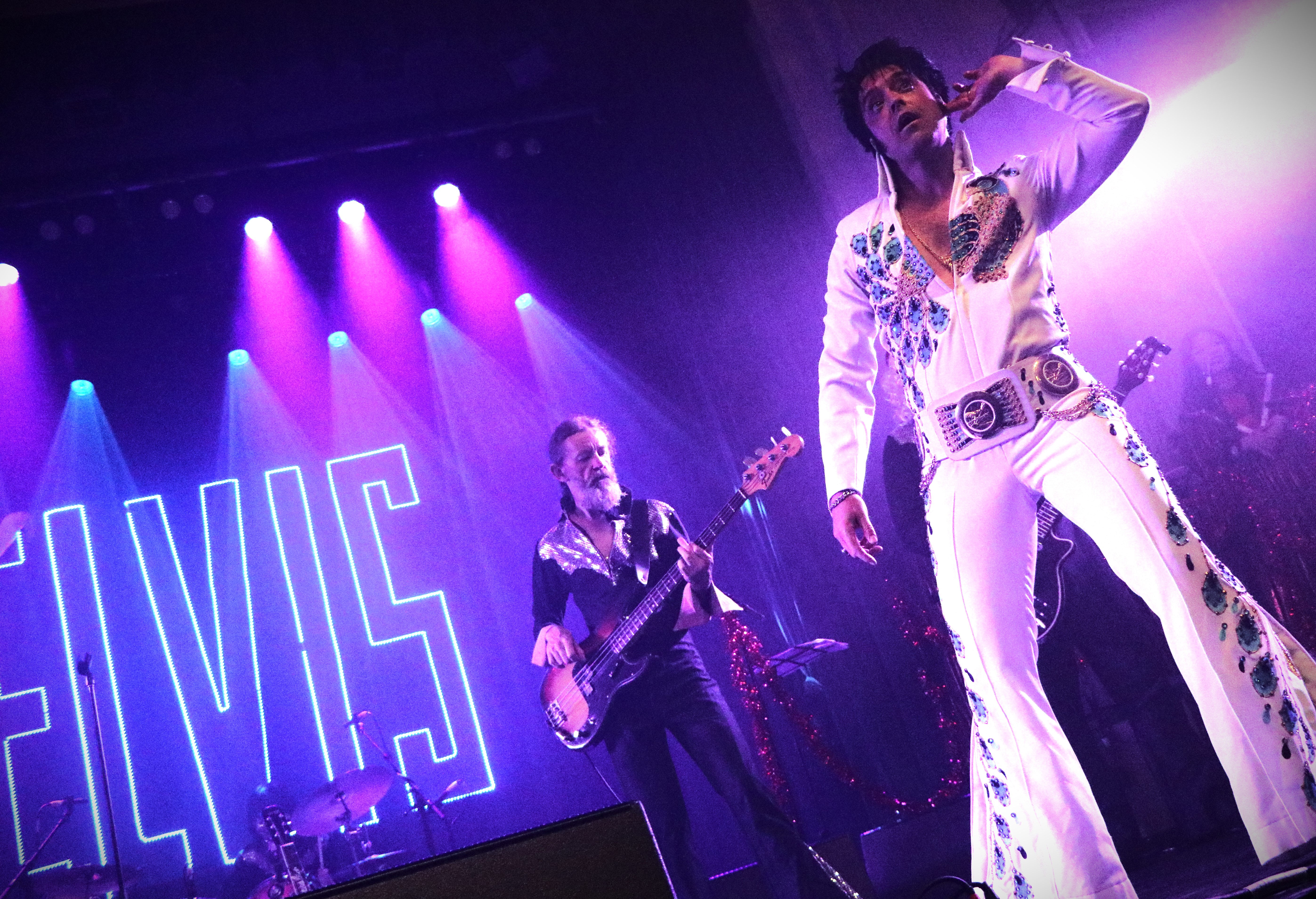 Book Elvis (The Knave) Professional Tribute Artist and Singer - Elvis ...