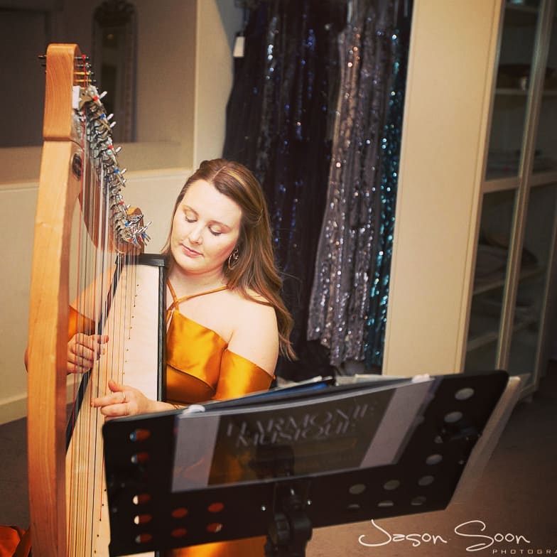 Book Harmony Sounds _ Harpist and Vocalist - Harpist, Perth