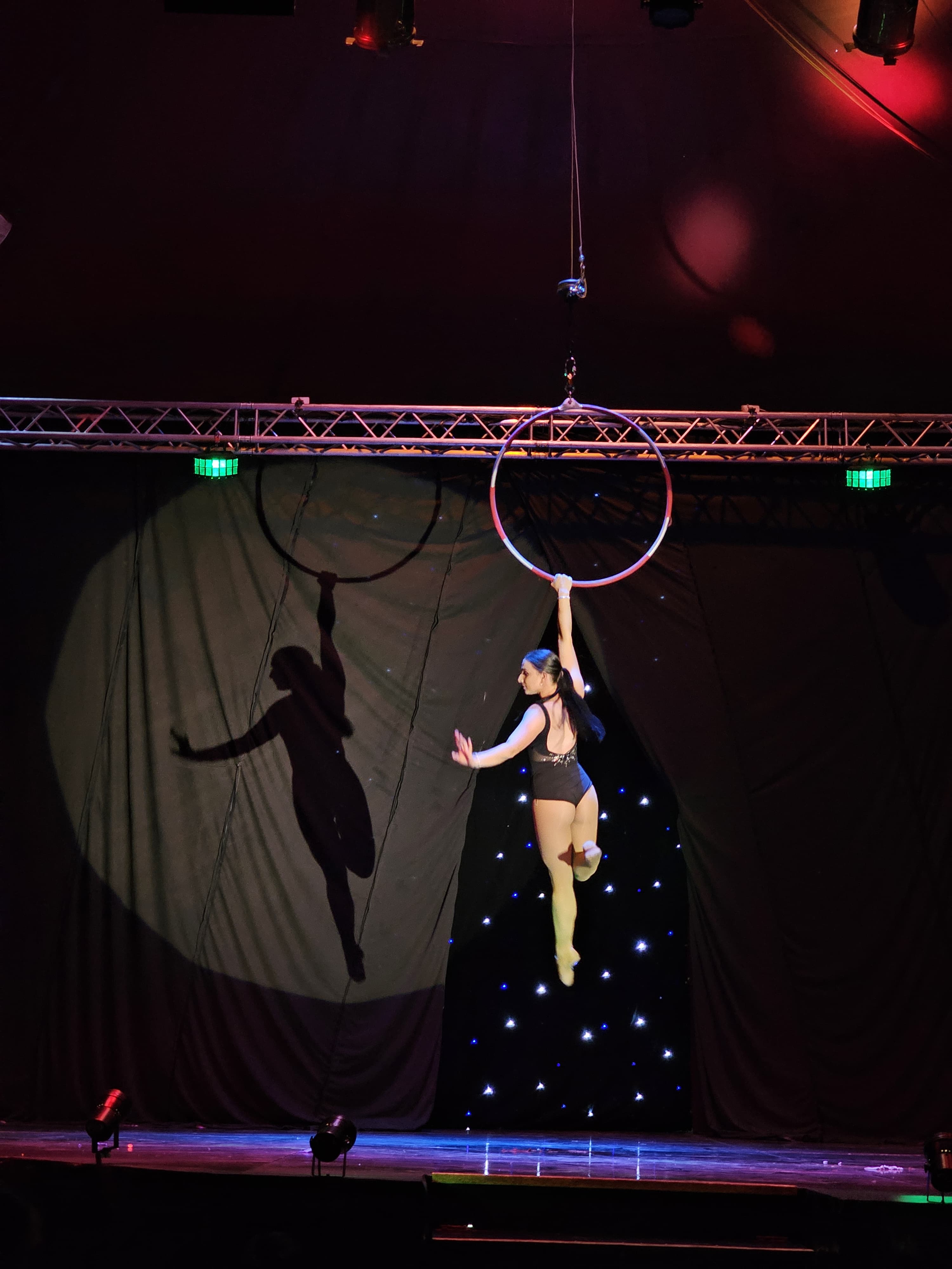 Book Circus Acts: Aerial Lana - Trapeze or Aerial Act, Laidley